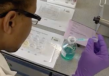 Website: The OpenScience Laboratory | The OpenSTEM Labs